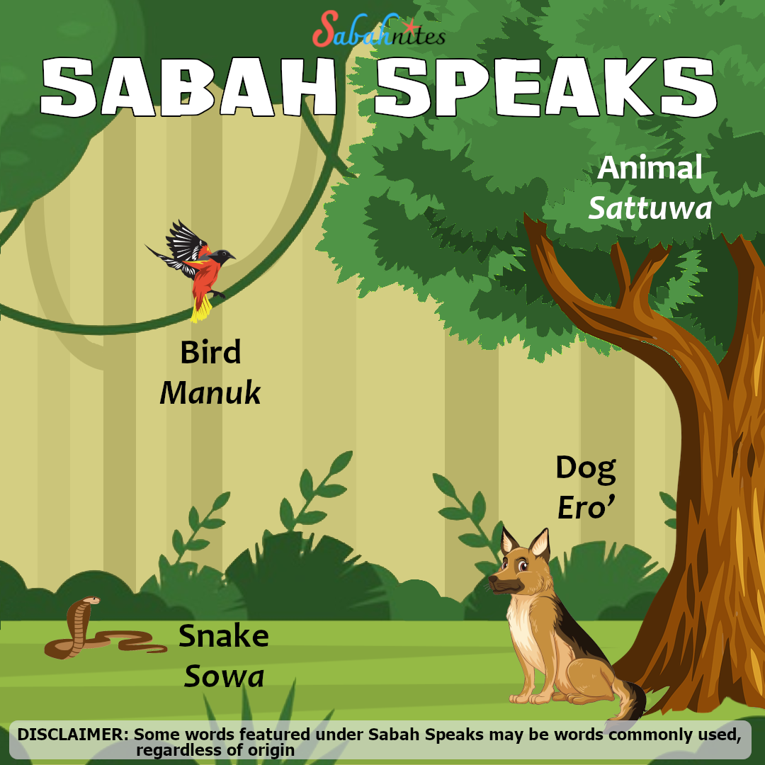 #6 Sabah Speaks | Sabahnites | Your Ultimate Sabah Guide