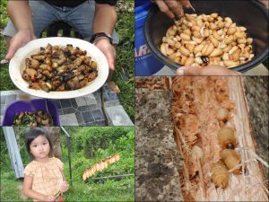 Butod | Sabahnites | Your Ultimate Sabah Guide