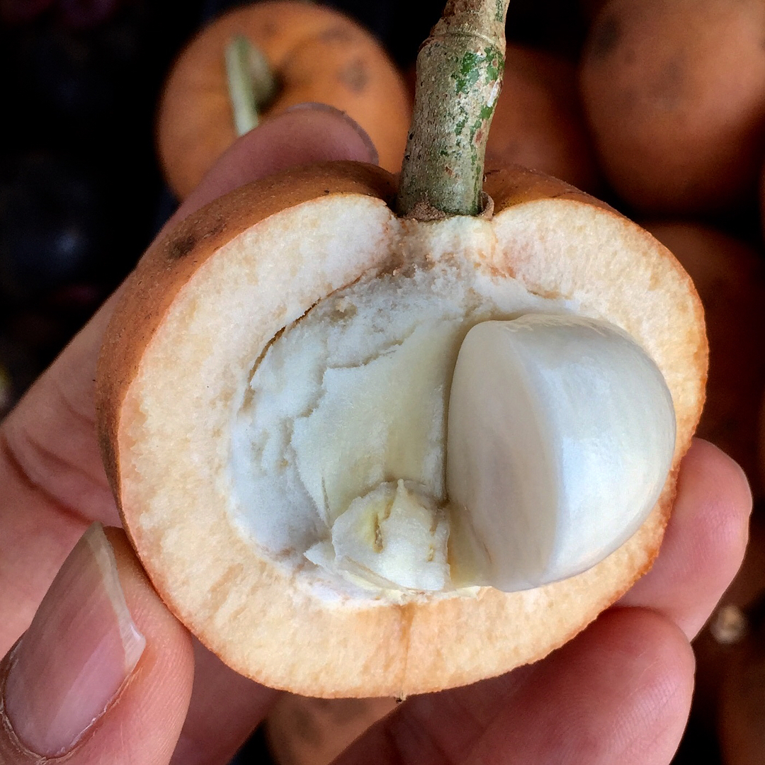 Buah Tampoi | Sabahnites | Your Ultimate Sabah Guide