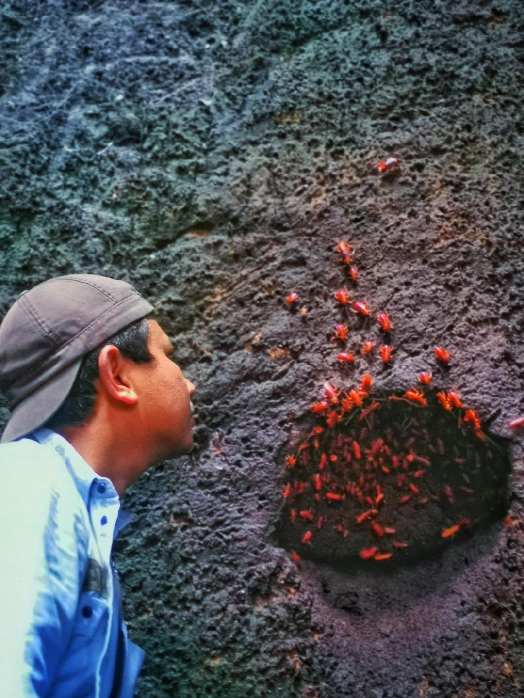 27 District In Sabah | Sabahnites | Your Ultimate Sabah Guide